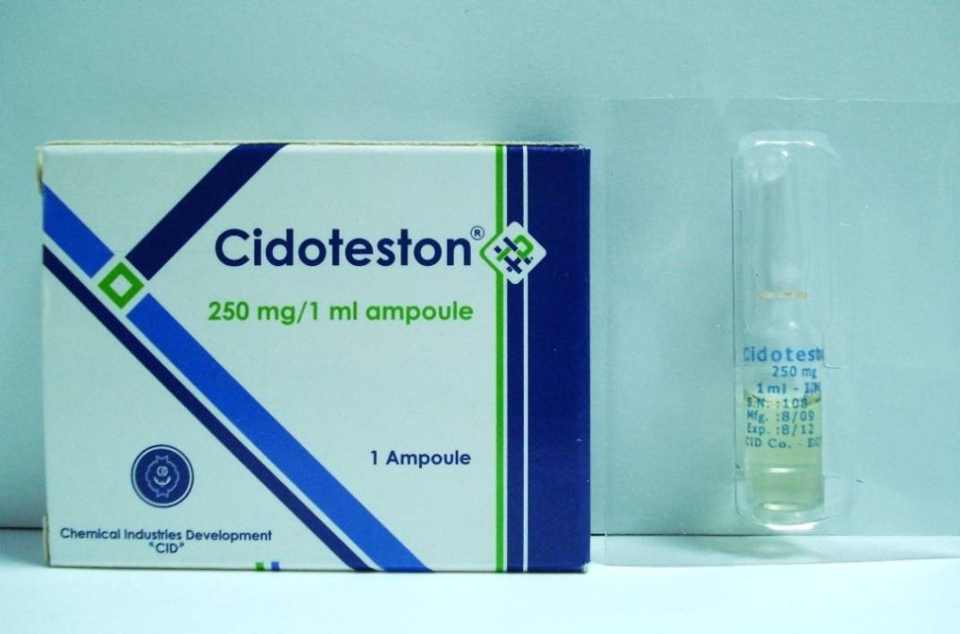 Cidoteston 250 mg - 1 ml Ampoule Available Now| Seif Pharmacies